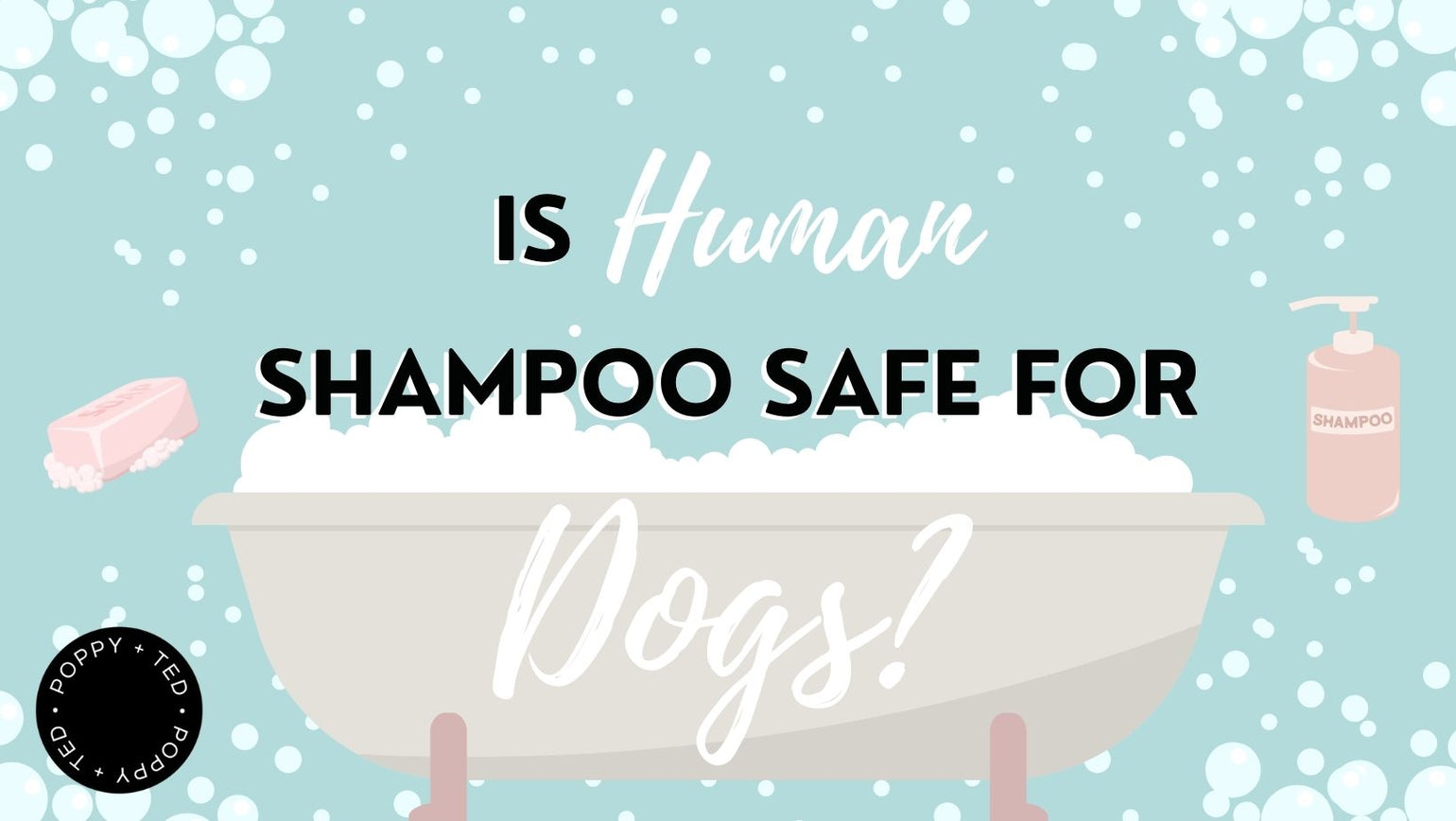 Is Human Shampoo Safe for Dogs? | Poppy & Ted – Poppy + Ted