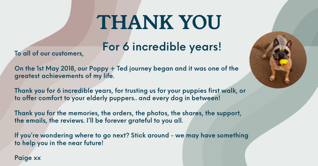 Dog & Puppy Accessories | Stylish, Trendy - Poppy + Ted