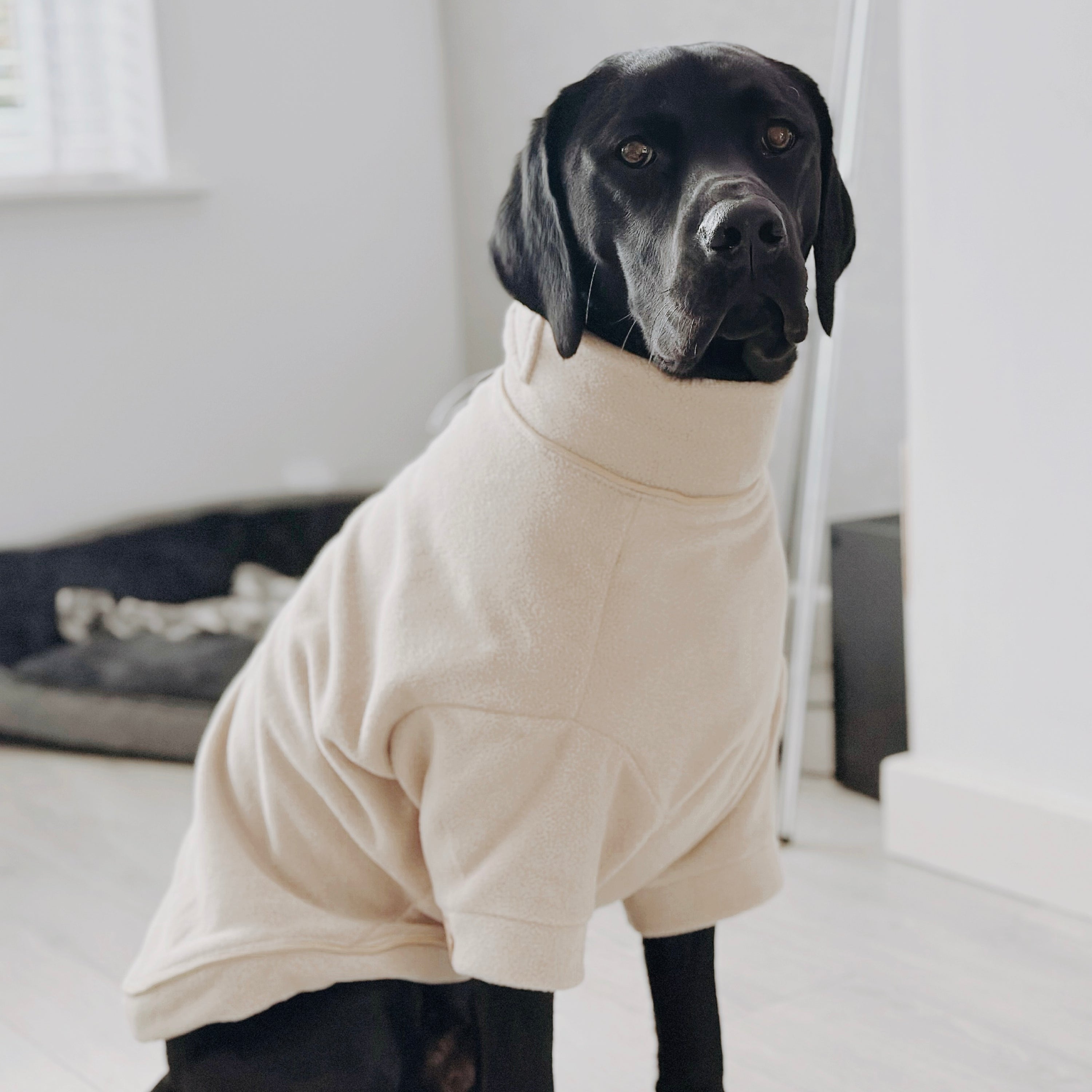 Dog & Puppy Accessories | Stylish, Trendy - Poppy + Ted