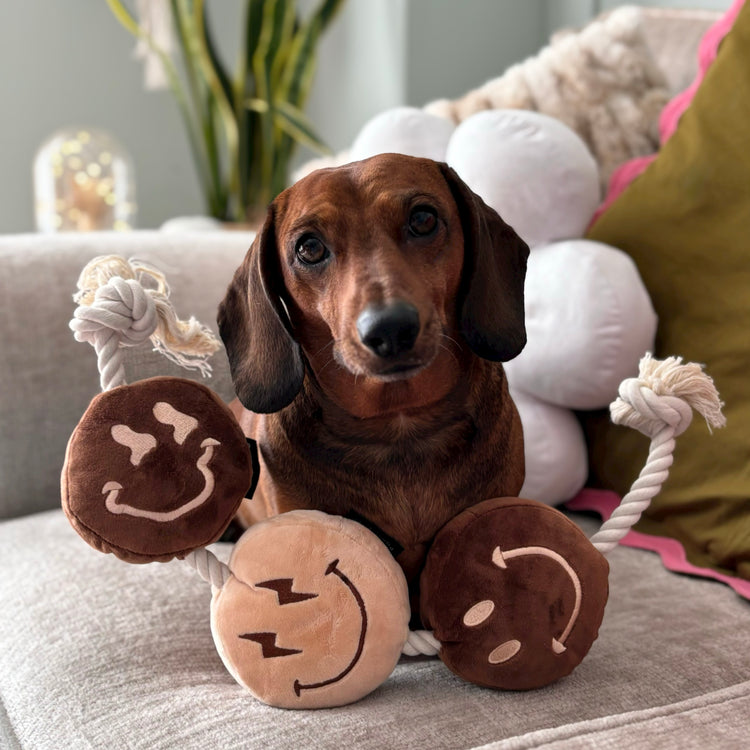 Dog & Puppy Accessories | Stylish, Trendy - Poppy + Ted