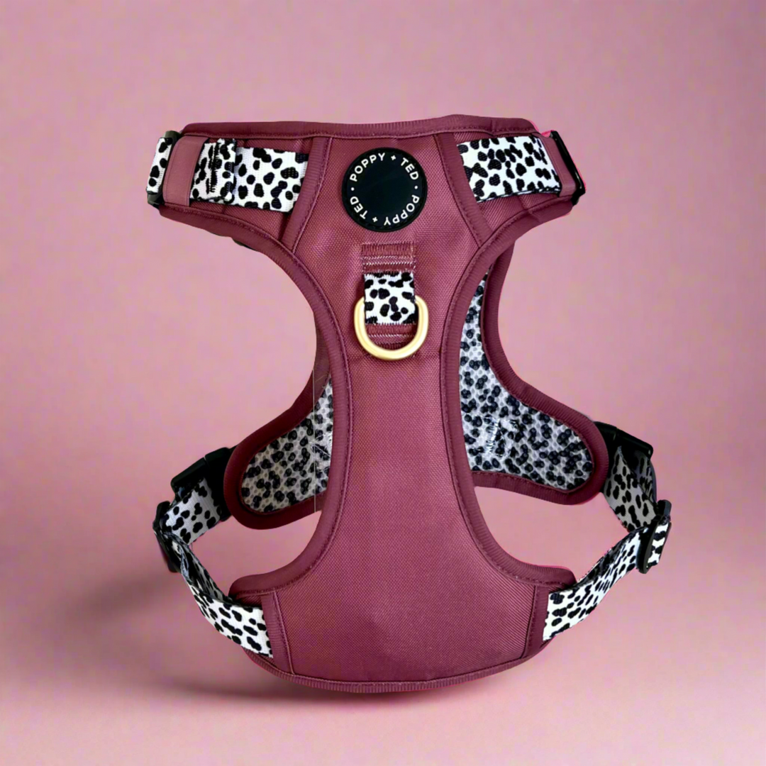 Collections – Poppy + Ted