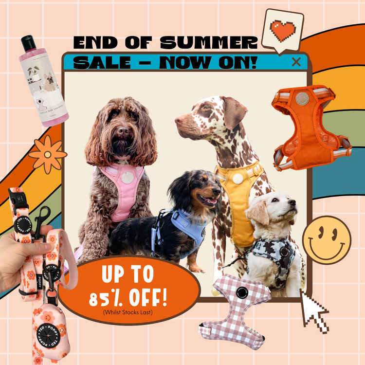 Dog & Puppy Accessories | Stylish, Trendy - Poppy + Ted