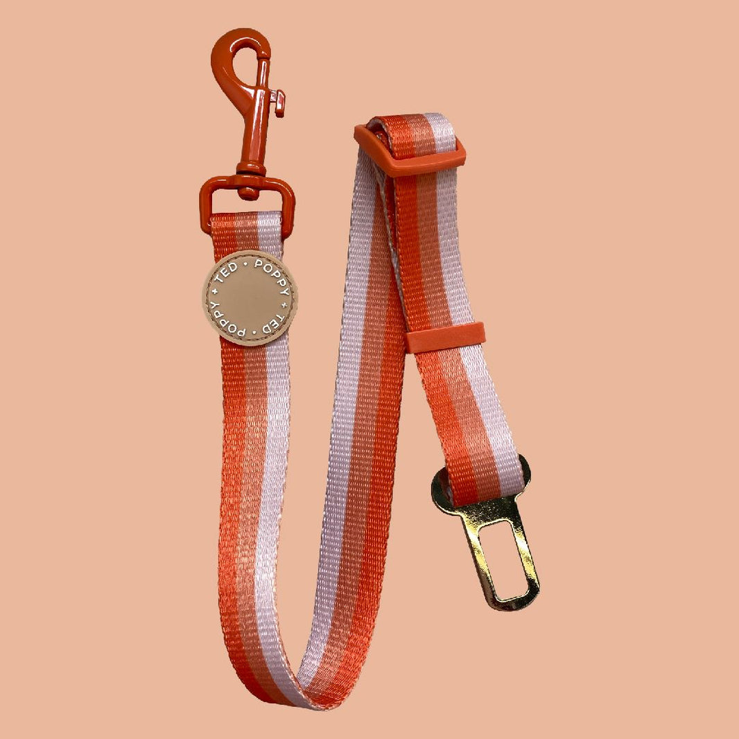 Dog & Puppy Accessories | Stylish, Trendy - Poppy + Ted